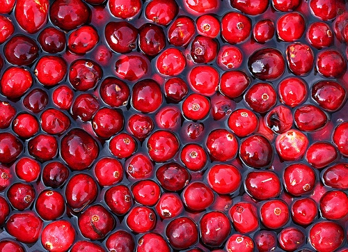 7 Wild and Wonderful Indigenous American Fruits - Paste