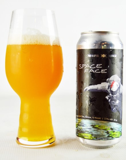 324 of the Best IPAs, Blind-Tasted and Ranked - Paste Magazine