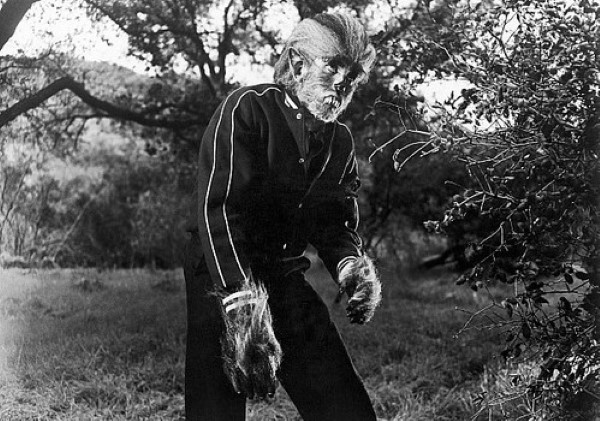 The 25 Best Werewolf Movies of All Time :: Movies :: Best Werewolf ...