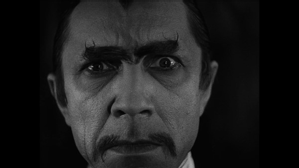 The 25 Most Important Zombie Movies Ever Made