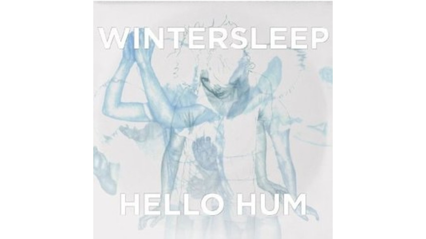 Wintersleep: Hello Hum - Paste